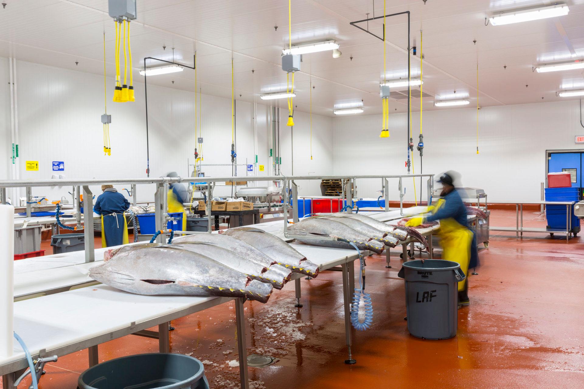 Buckhead Meat Processing Facility Construction | Big-D